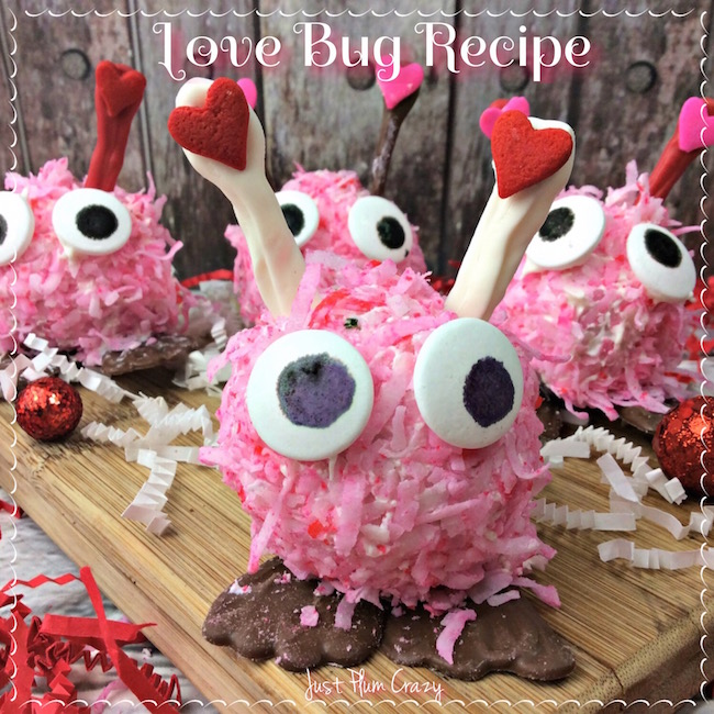 Valentine's Day Love Bug Recipe - Be Plum Crazy!