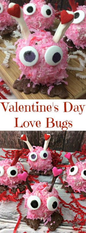 Valentine's Day Love Bug Recipe - Be Plum Crazy!